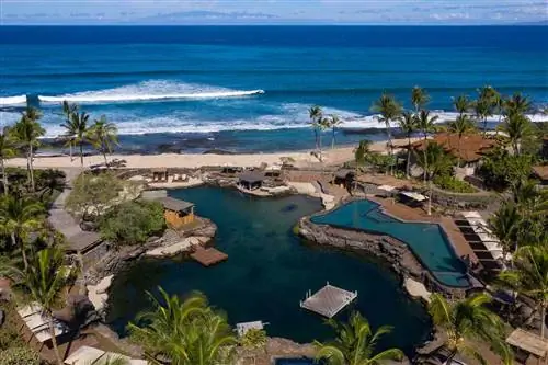 На этом гавайском курорте есть аквариум на 1,8 миллиона галлонов - и вы ...