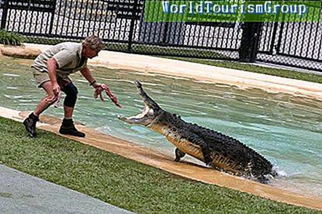 Steve irwin: внимание к любимому охотнику-крокодилу австралии