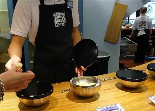 Сомерсет для гурманов: родина чеддера и яблочного бренди