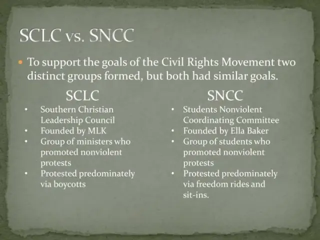 Что такое SCLC и SNCC?